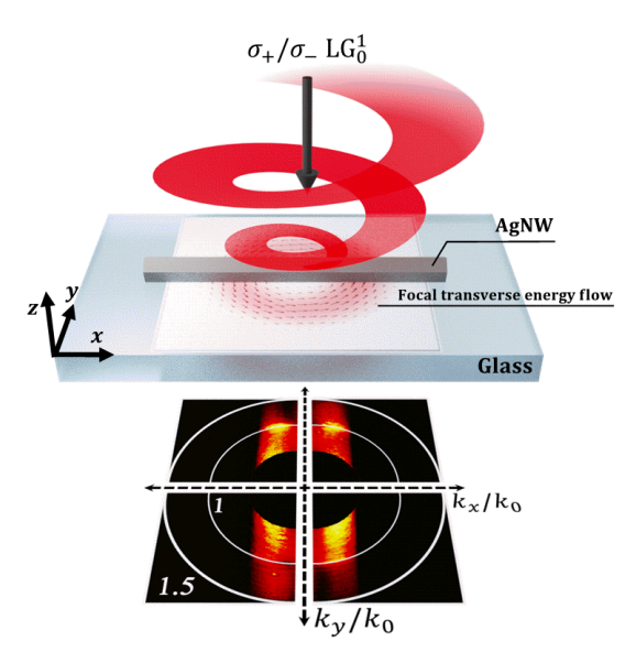 OAM + SAM -New paper from my lab – History & Philosophy of Science