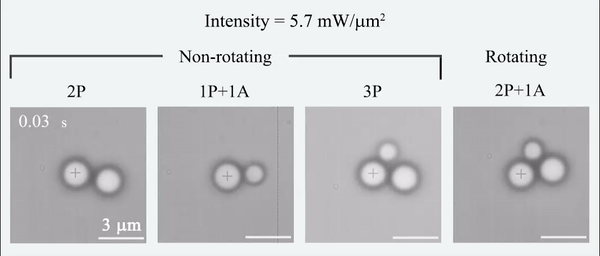 New paper – Emergence of Directional Rotation – VISMAYA – History ...